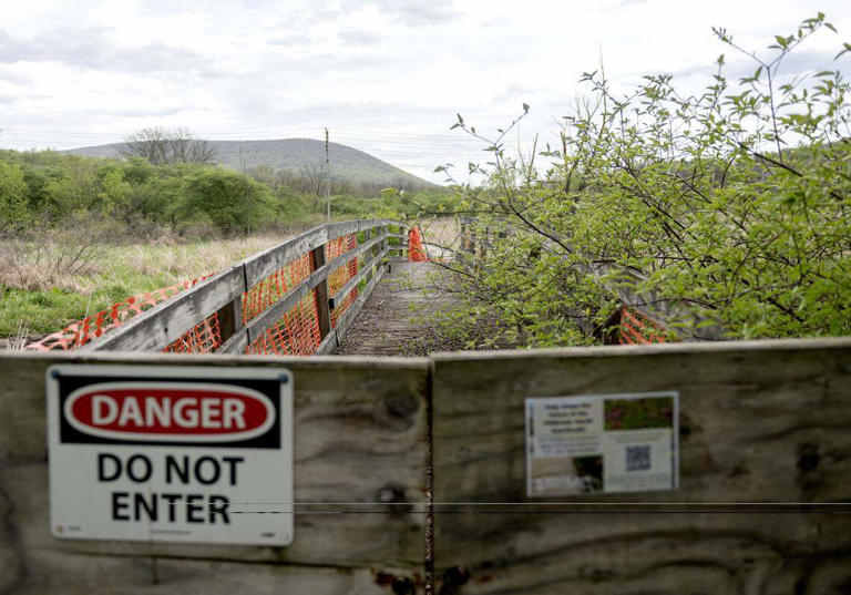 How should Millbrook Marsh's boardwalk be replaced? Community input sought