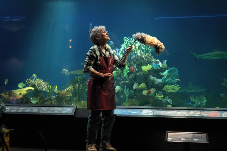 Where was the ‘Remarkably Bright Creatures’ movie filmed?