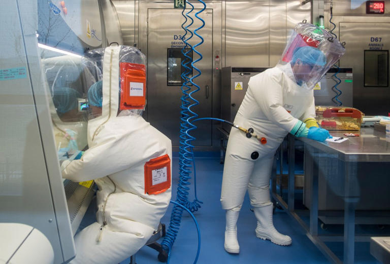 DNI Tulsi Gabbard probes US funding to more than 120 biolabs abroad