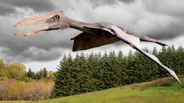 The Prehistoric Insect That's Pure Nightmare Fuel