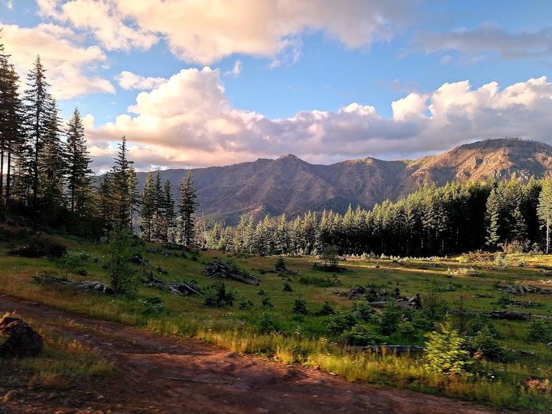 This Oregon off-road trail leads to a 1920s gold mine hidden in the ...