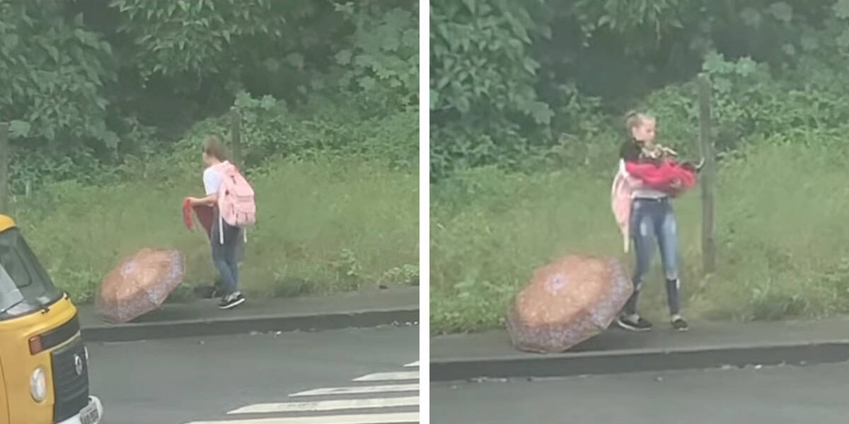 'Angel' spotted saving a stray dog on her way home from school