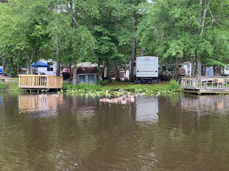 This pet-friendly New Jersey campground offers full hookups, cable TV ...
