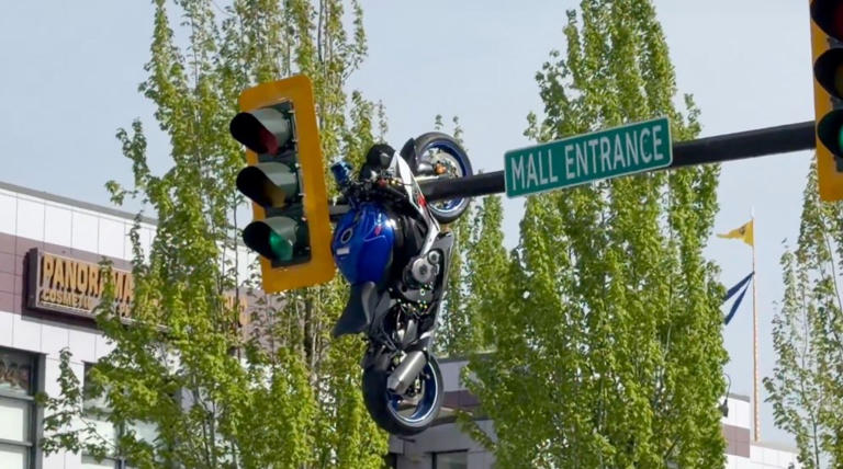 Motorcycle flies onto traffic light pole after head-on collision with ...