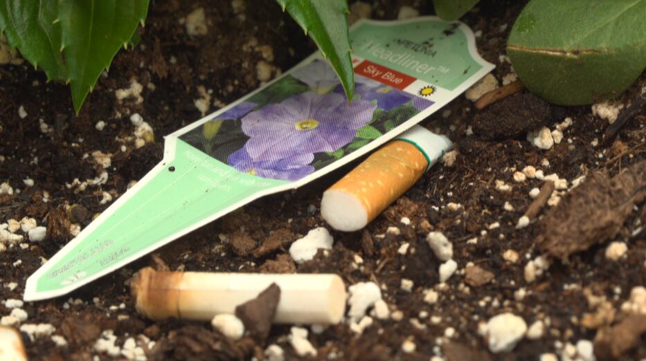 Knoxville City Council approves first reading of proposed smoking ban ...
