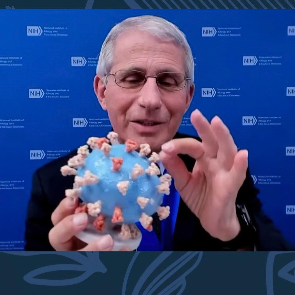 DOJ weighing new criminal case against Dr. Anthony Fauci — despite ...