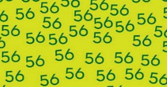 눈 크게 뜨고 보세요! 99%가 포기한 빽빽한 '56' 속 '59' 찾기