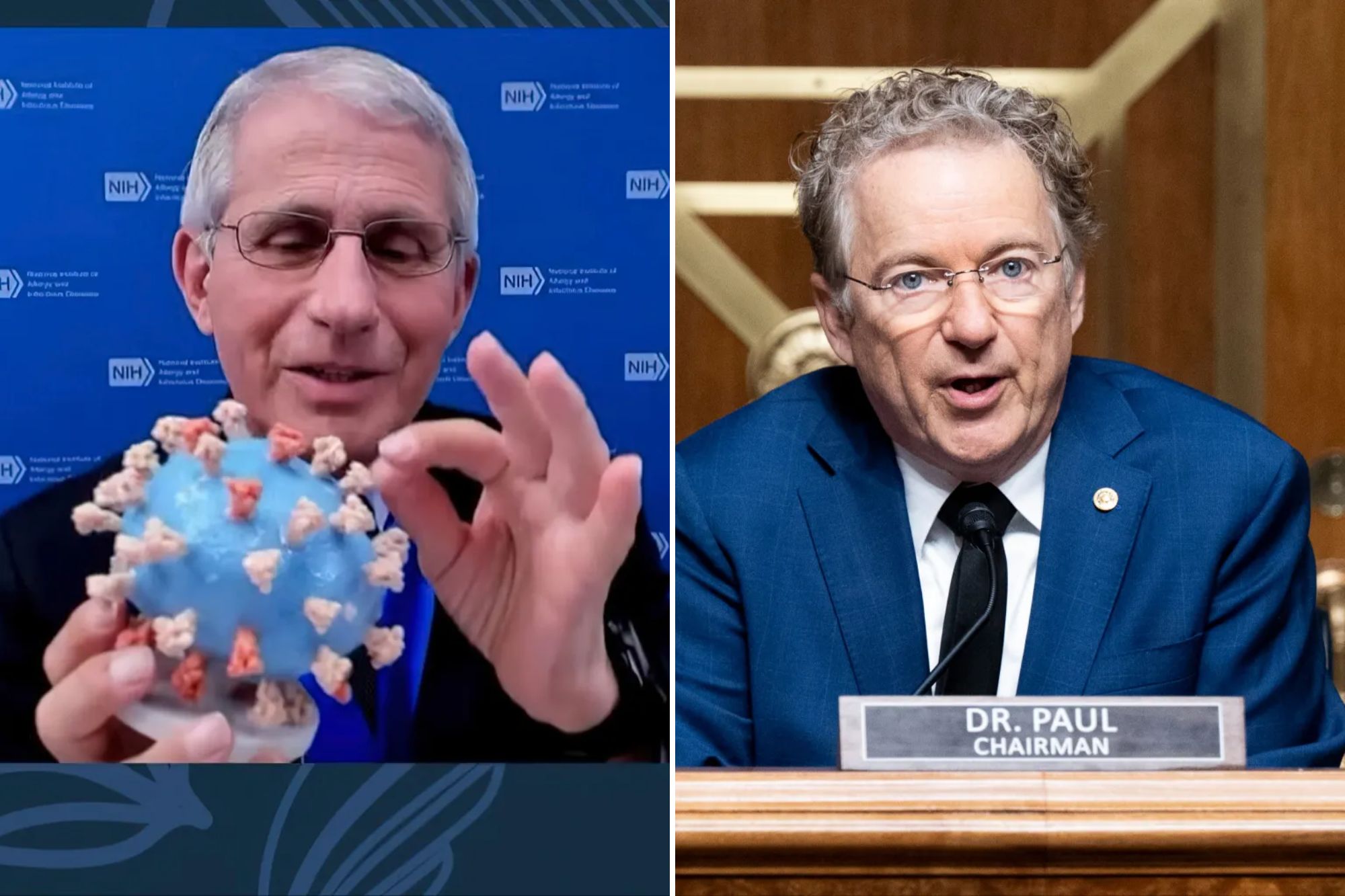 DOJ weighing new criminal case against Dr. Anthony Fauci — despite ...