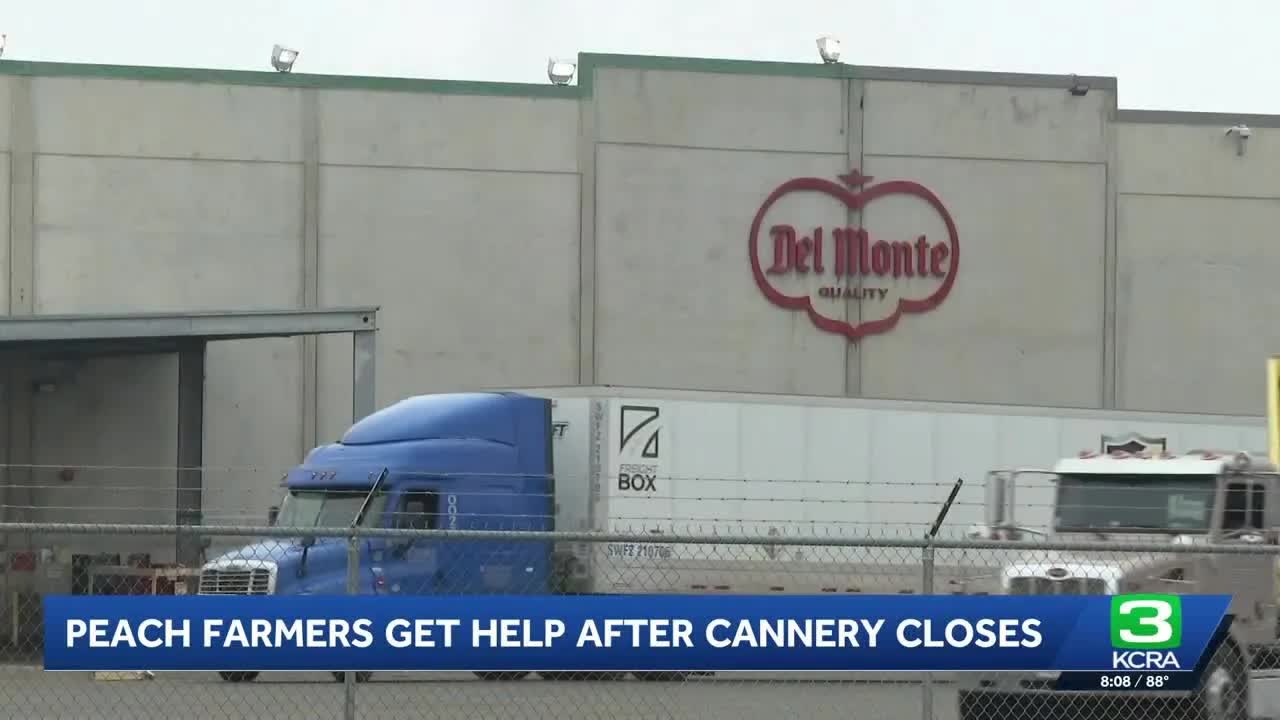 California peach growers struggle after cannery closure