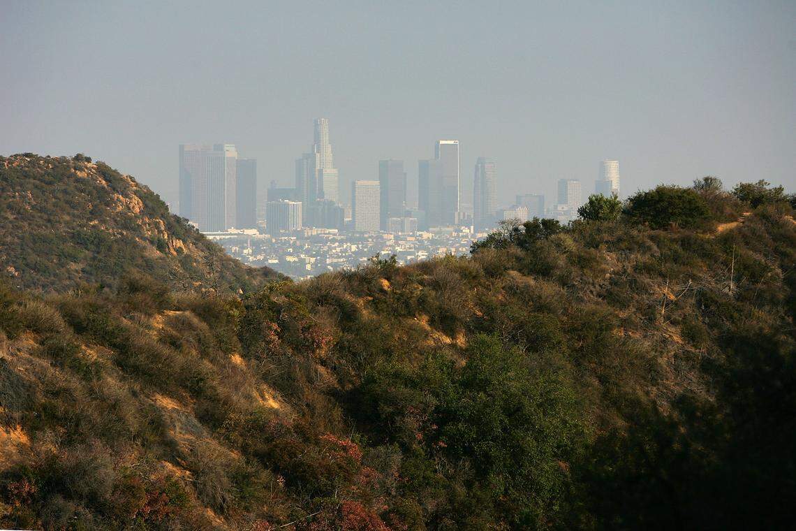 Wellness retreats USA: Why do stars like Rebel Wilson and Lea Michele ...