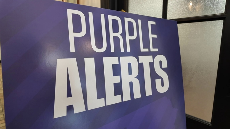 Push for 'Purple Alert' continues after missing non-verbal boy found dead