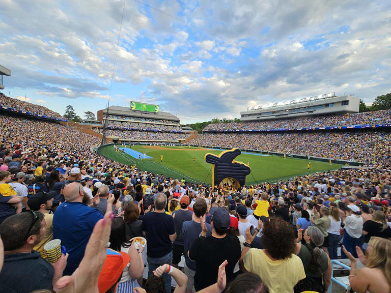 Banana Ball generated millions in economic impact in NC. A look at the ...