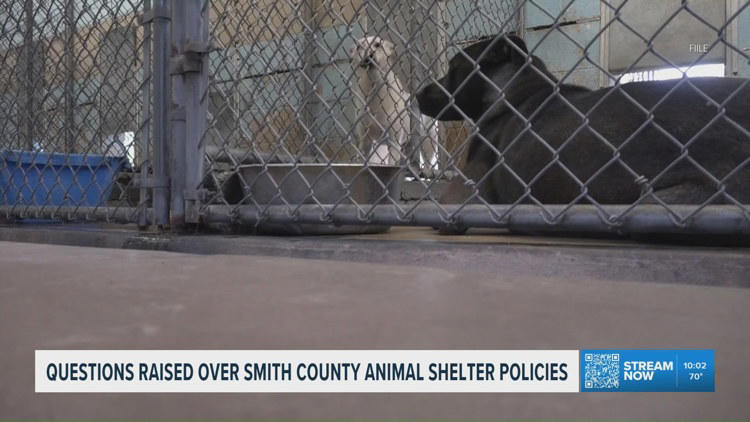 Smith County animal shelter policies spark debate over dog ...