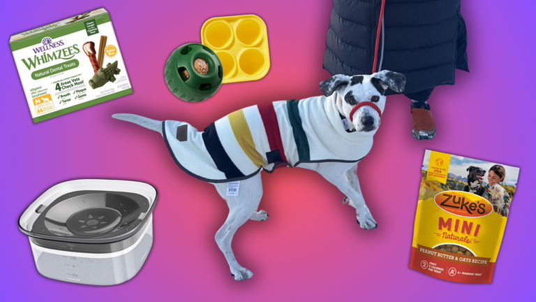 As a first-time dog owner, these are my essentials to shop during ...