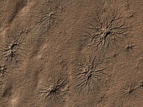 Chilling 'spiderwebs on Mars' hold the key to ancient alien life, NASA ...
