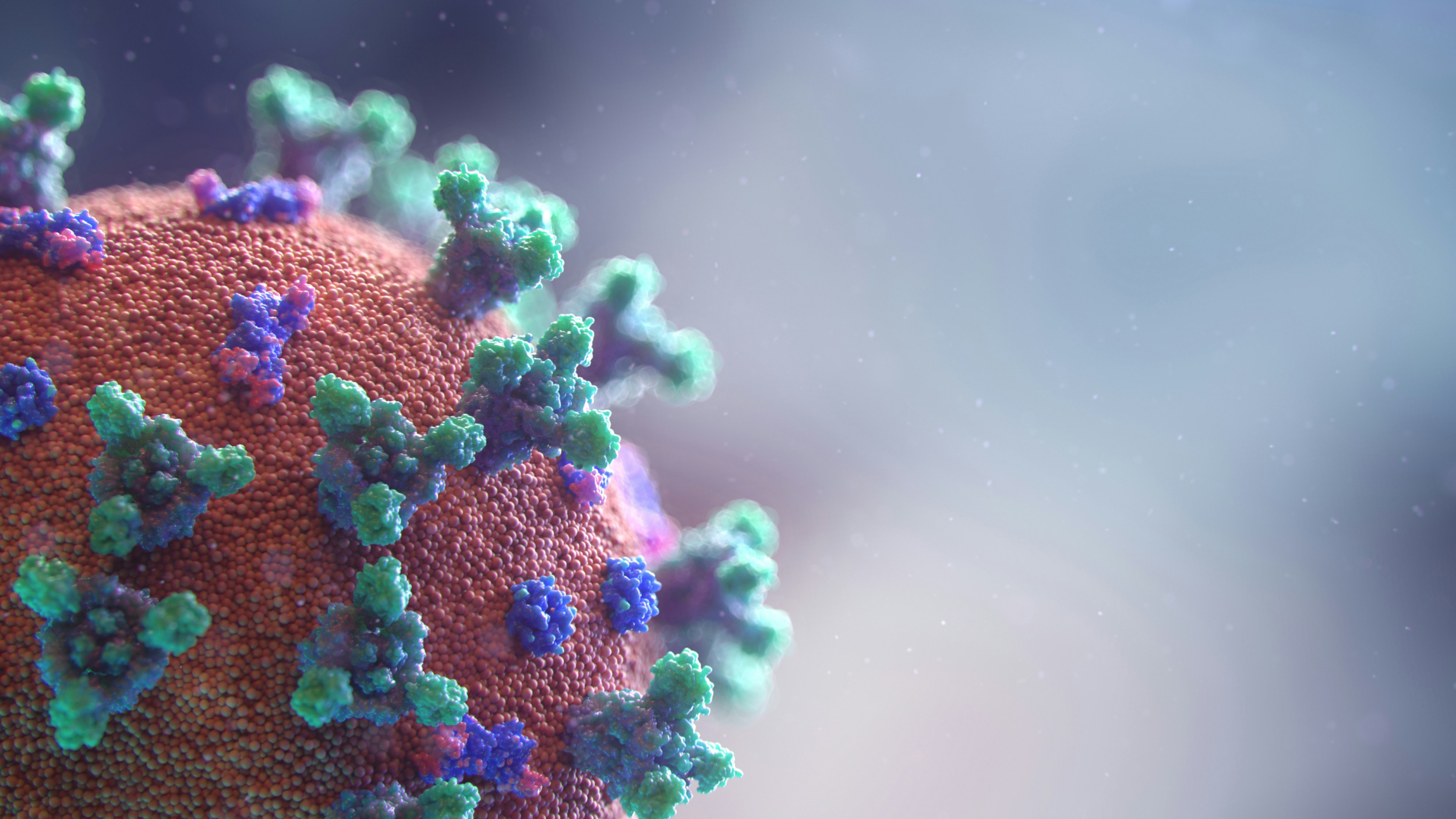 Will There Be a HantaVirus Outbreak? A 2022 Twitter Post Sparks ...