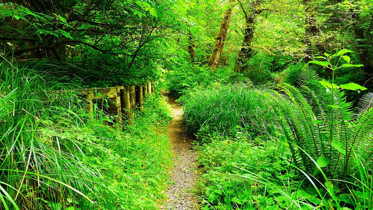 Why savvy Oregon road trippers always start their coastal run at ...