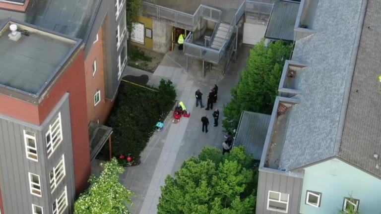 UW stabbing: Suspect turns himself in after deadly Seattle attack on ...
