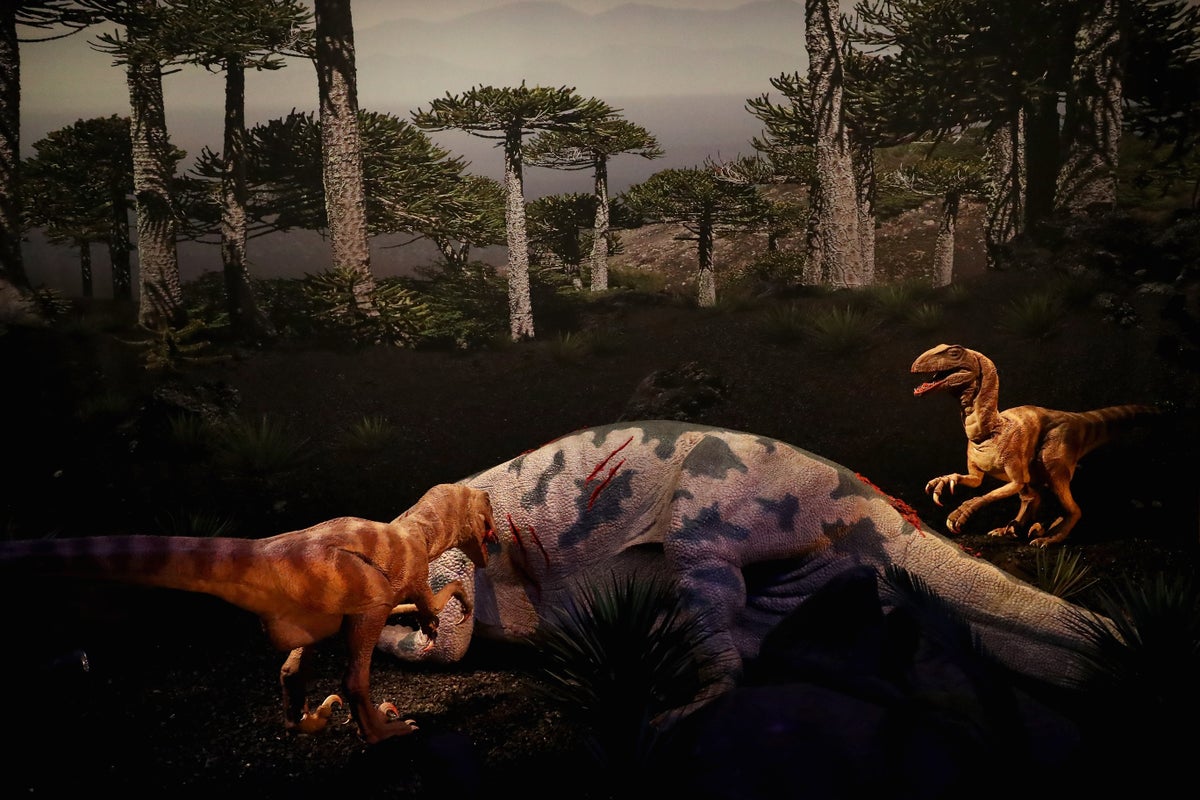 Study suggests dinosaurs may have fed their young ones a special diet