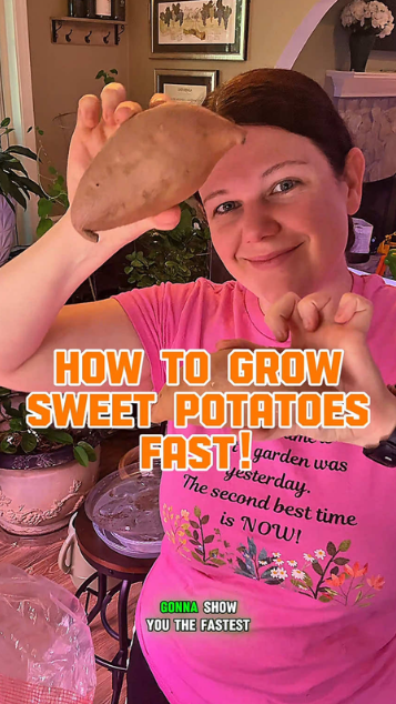 Sweet potato growing tips every home gardener should know