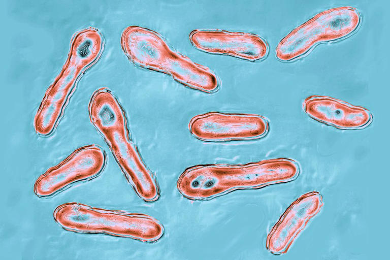 Case of botulism disease confirmed in Troup