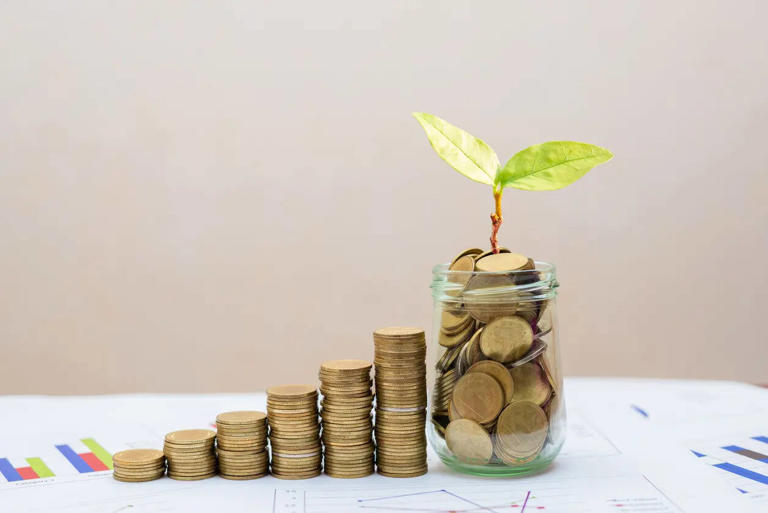 Best flexi cap mutual funds to invest in May 2026