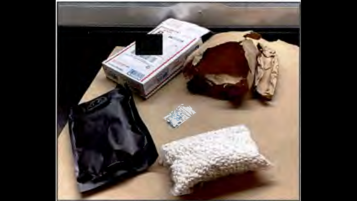 Two men accused of smuggling powerful opioid to Miami, for making into ...
