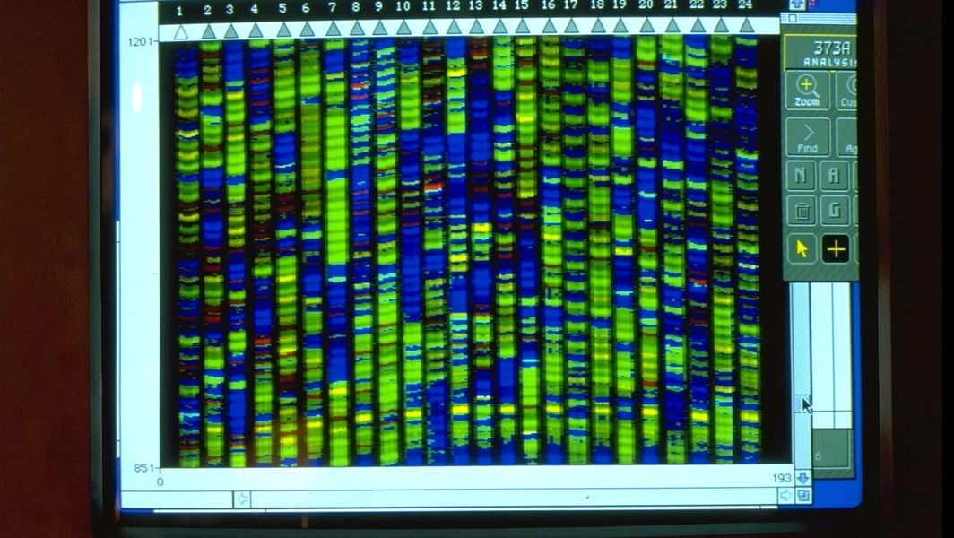 Why diversity in genetics could save lives