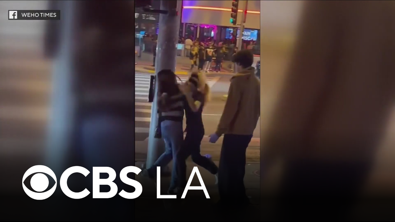 Video shows brawl outside West Hollywood hot dog vendor carts in latest ...
