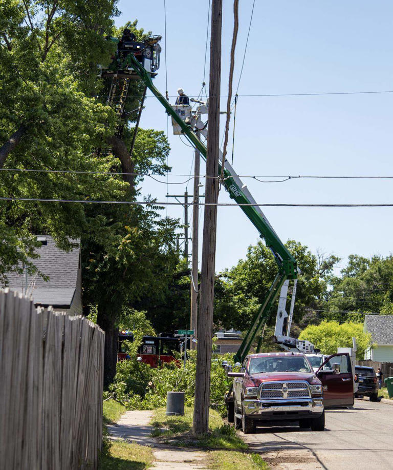 Man taken to hospital after being shocked while trimming trees