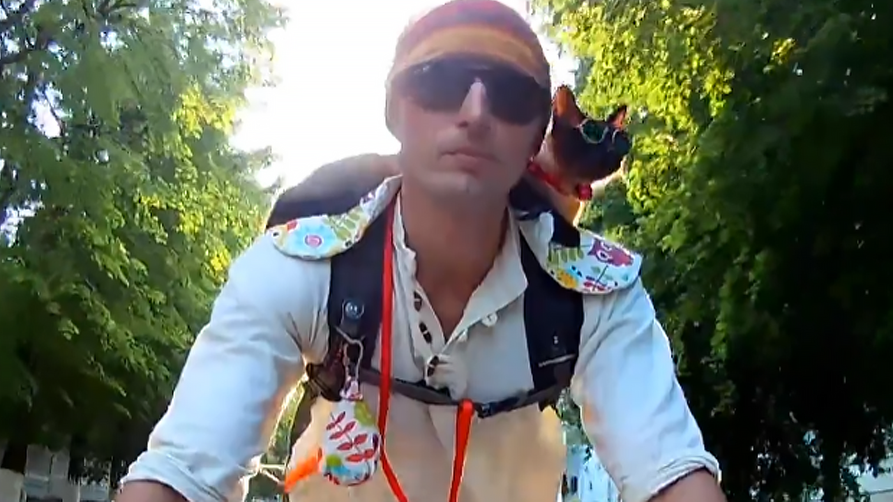 Cat rides along with cyclist