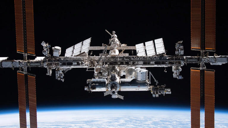 Apollo Beach to the stars: Third grader's artwork heads to the ...