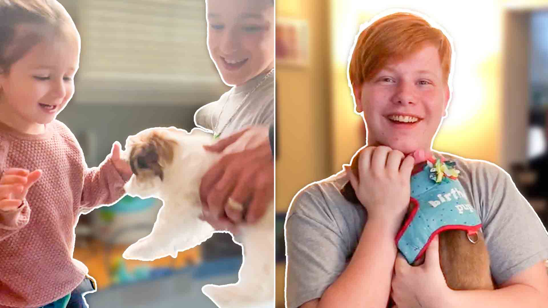 Wholesome birthday surprises, puppies, cakes and heartwarming moments