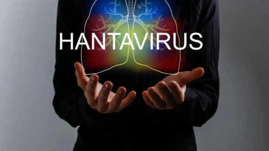 Hantavirus pulmonary syndrome can turn deadly within hours - here’s why ...
