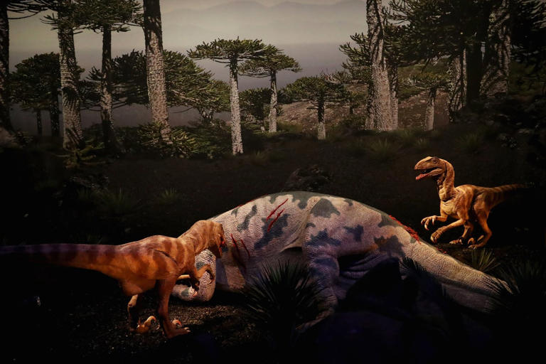 Study suggests dinosaurs may have fed their young ones a special diet