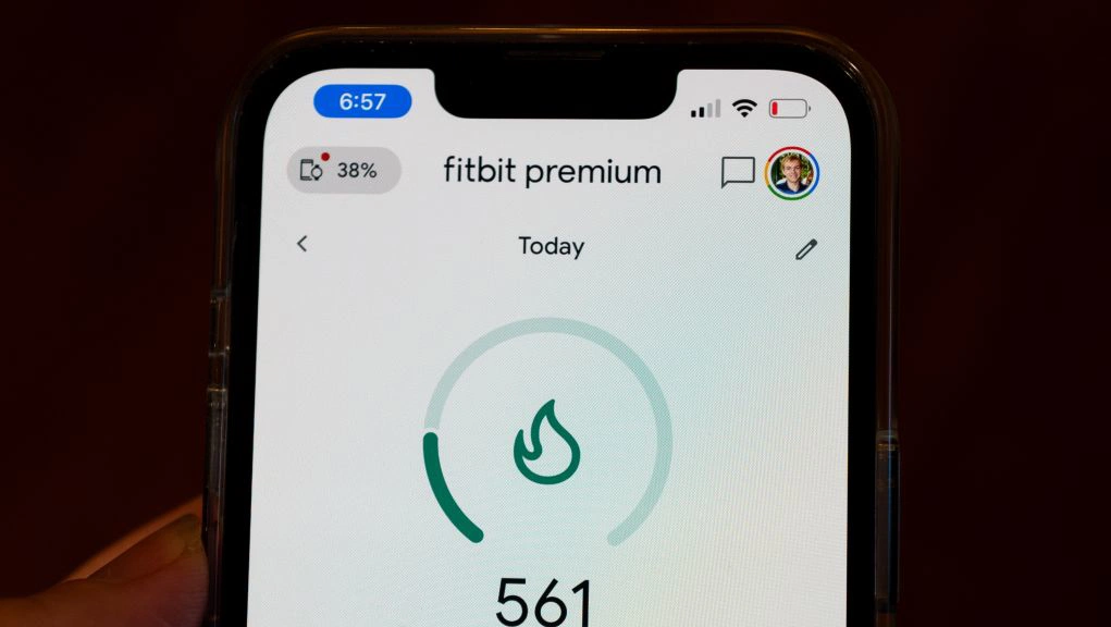 Fitbit update bug halts Pixel Watch health tracking