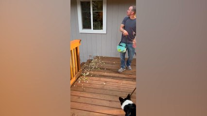 Ultimate fails