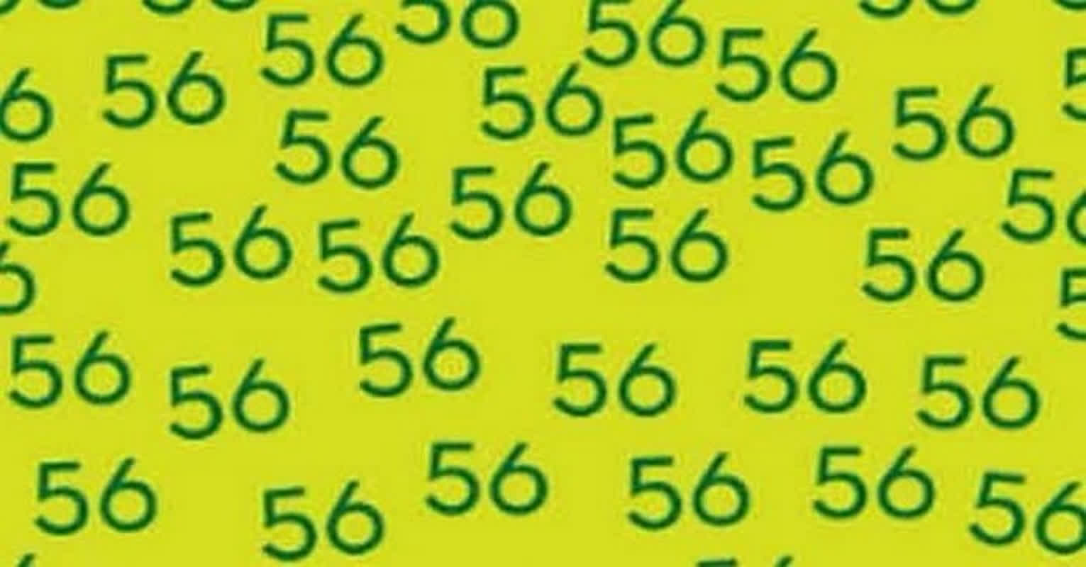 눈 크게 뜨고 보세요! 99%가 포기한 빽빽한 '56' 속 '59' 찾기