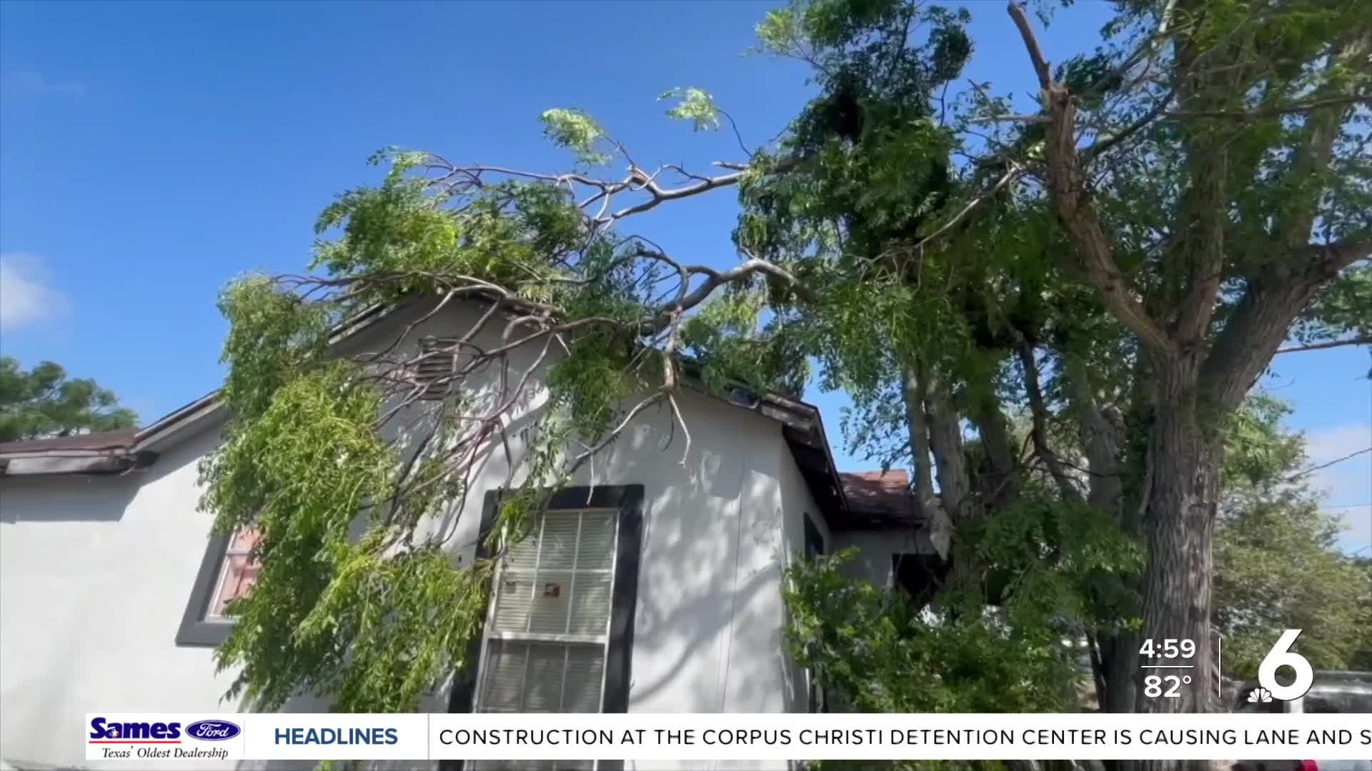 Thunderstorm tears through Flour Bluff, leaving downed trees and ...