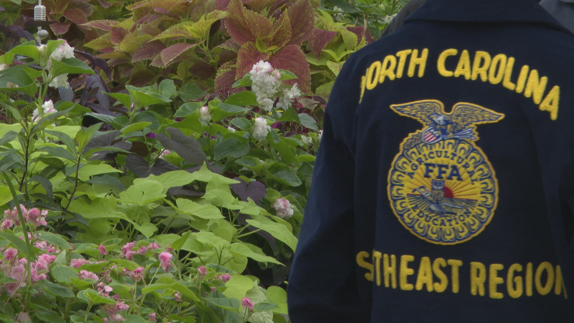 Greene Central’s FFA chapter continues to impact community