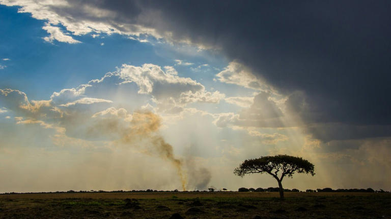 New tectonic plate boundary could be forming in Zambia, scientists say