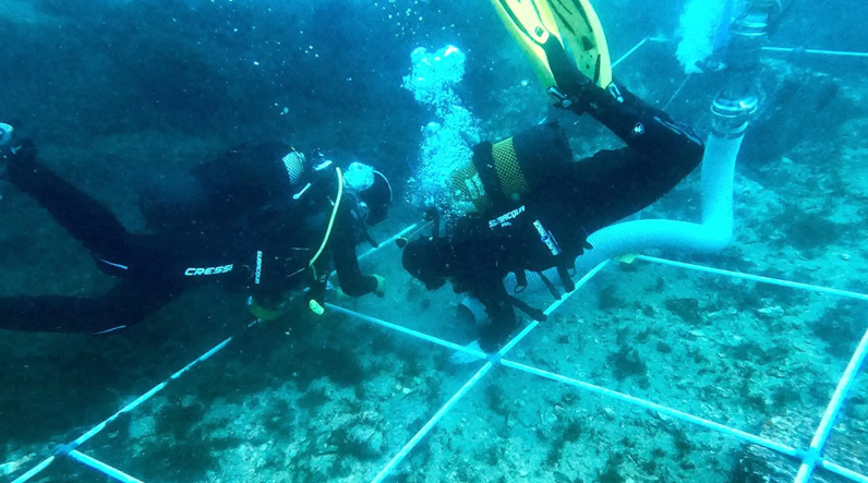 Spanish archaeologist uncovers massive 2,400-year-old ship graveyard