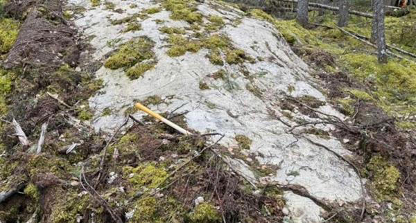 Critical examining 5km corridor at Corona target at Mavis Lake