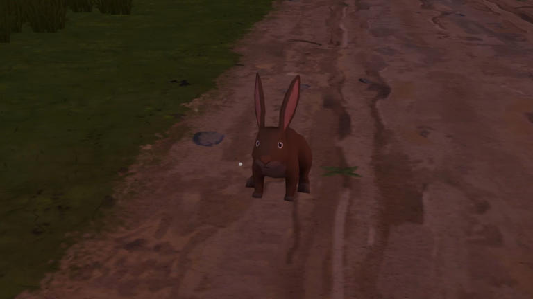 What does feeding and petting rabbits do in Outbound? Explained