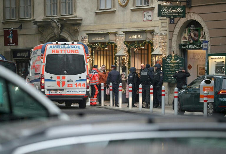 Wiener Mafia-Mord: Killer nach 7 Jahren gefasst
