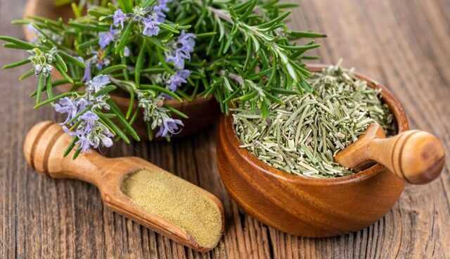 10 amazing benefits of rosemary for skin and hair