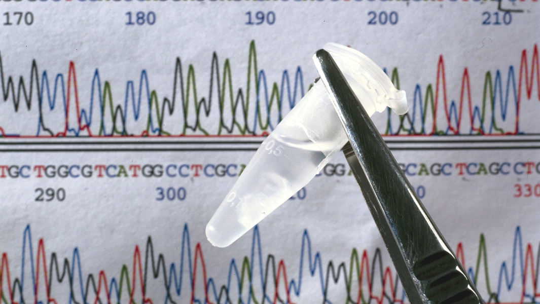 Why diversity in genetics could save lives