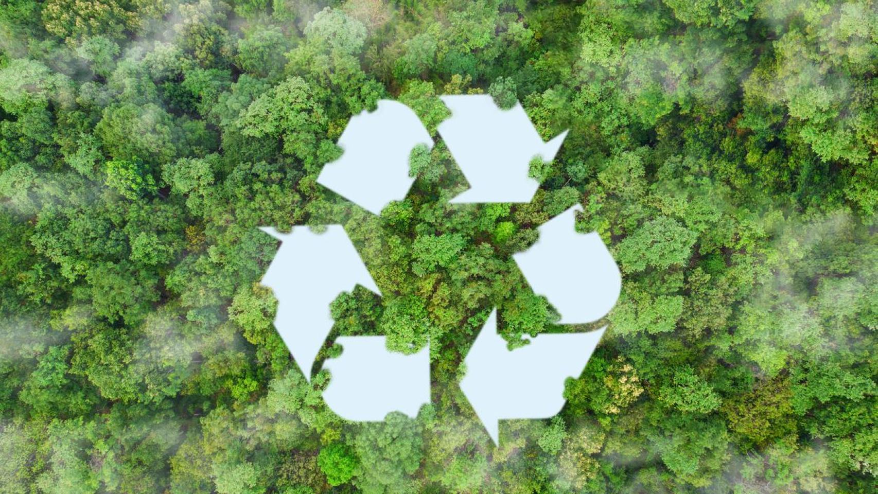 El papel crucial de las ciudades en la transición a la economía circular