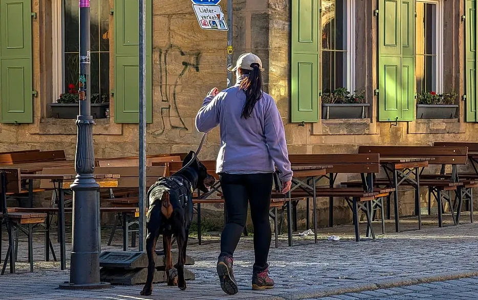 Better walks start with the right leash