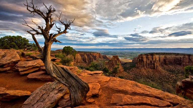 Western Colorado's largest city is a mountain gem in the heart of wine ...